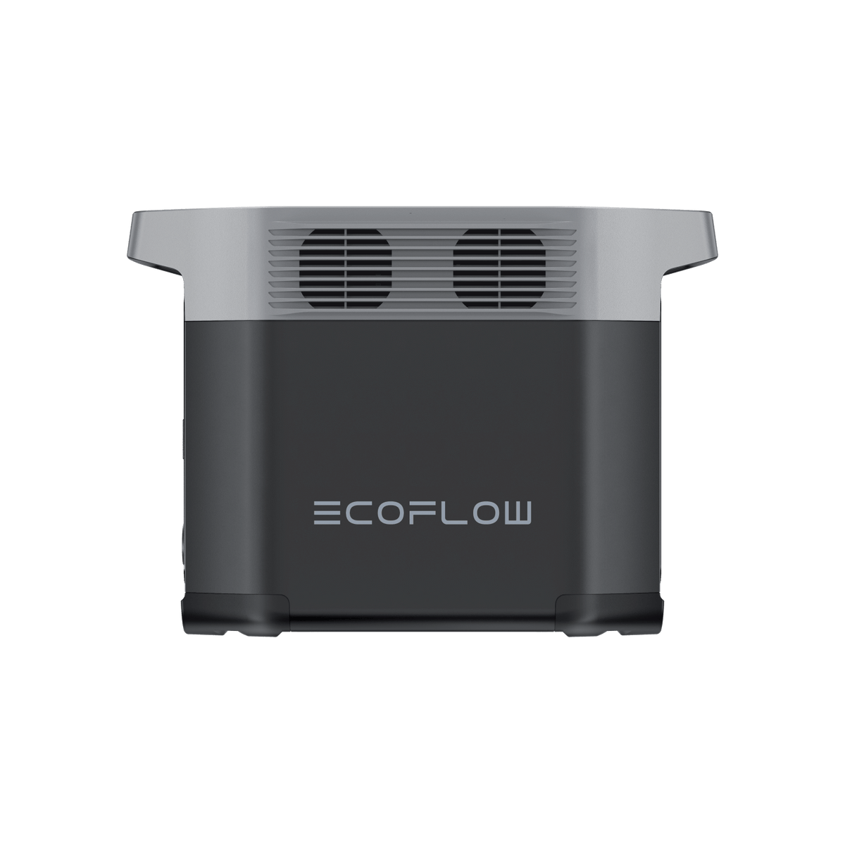 EcoFlow DELTA 2 + DELTA 2 Smart Extra Battery + 2 x 110W Solar Panel ...