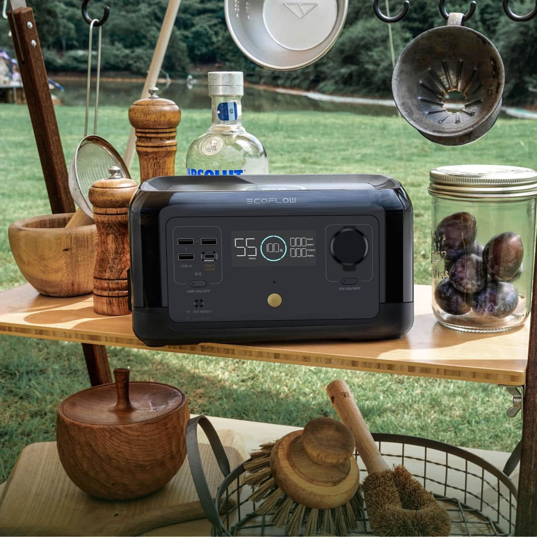 Buy EcoFlow RIVER mini Portable Power Station | RIVER mini (Standard)